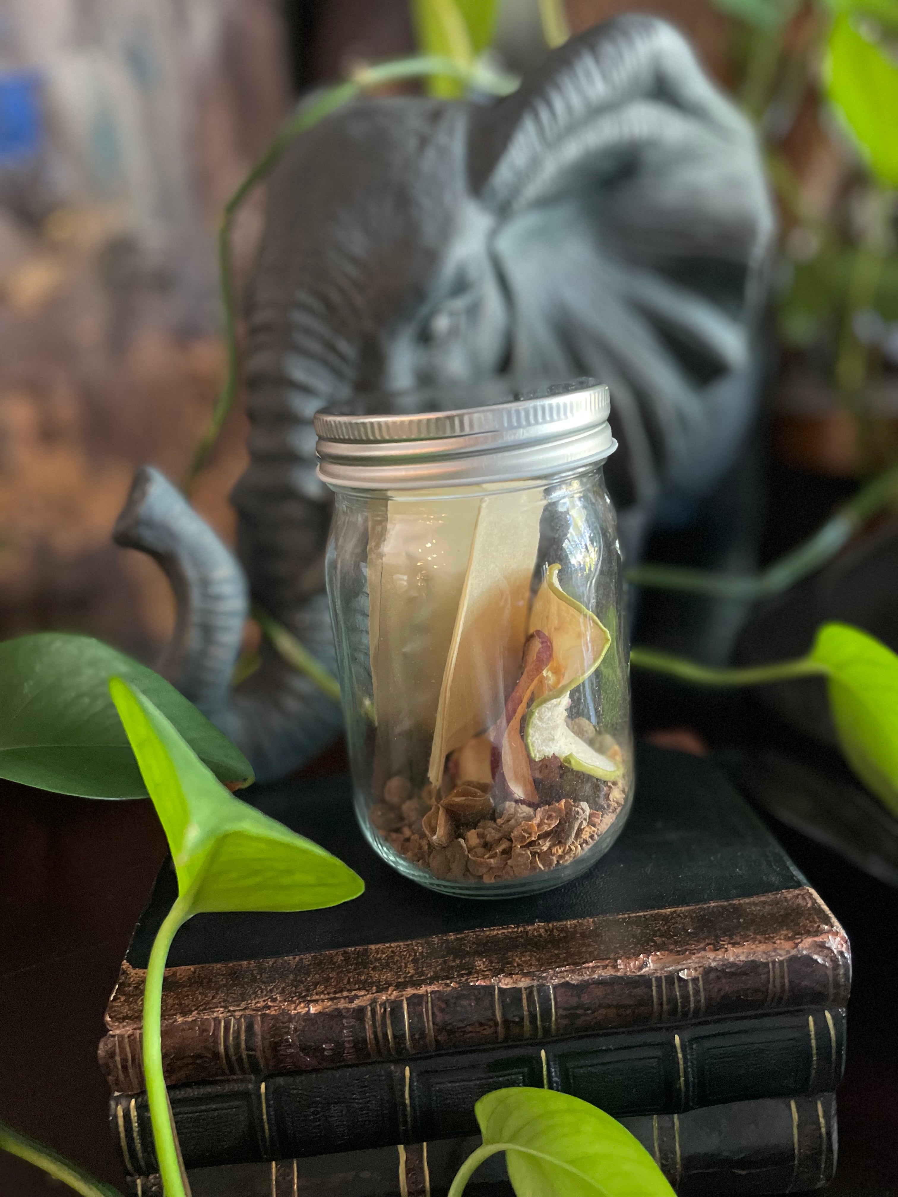 Herbal Infuser Kits – The Tea Spout by Aquene Amora